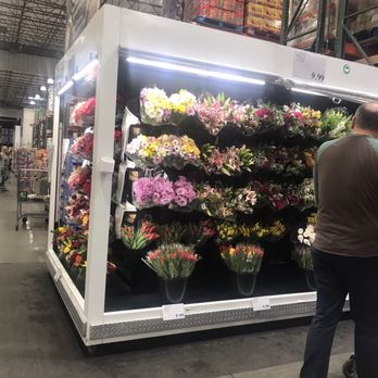 COSTCO WHOLESALE - Updated March 2025 - 347 Photos & 386 Reviews - 5700 ...