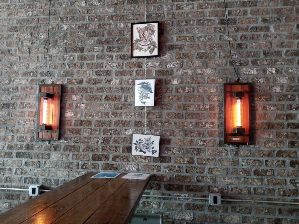 ESCAPE BREWING COMPANY - Updated August 2024 - 79 Photos & 59 Reviews ...