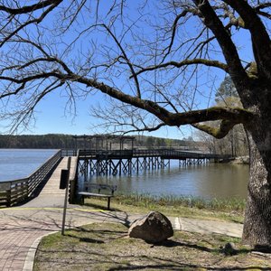 CAUBLE PARK AT ACWORTH BEACH - Updated June 2025 - 50 Photos & 13 ...