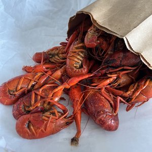 CAPTAIN SID’S SEAFOOD - 55 Photos & 60 Reviews - 1700 Lake Ave ...