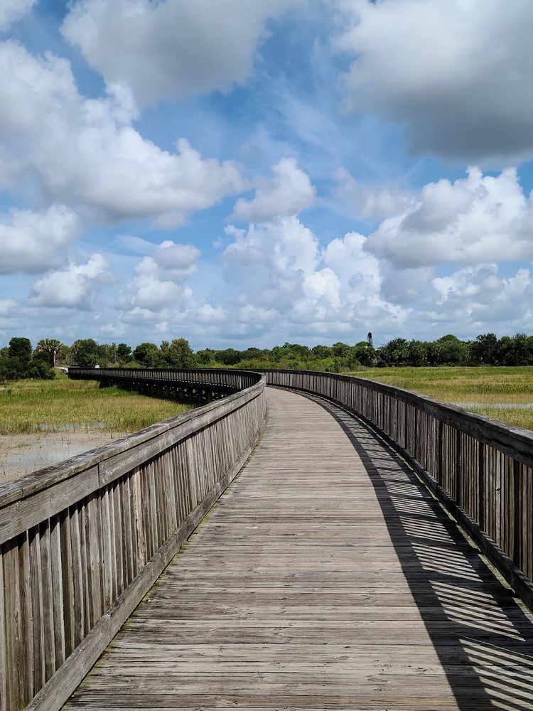 WELLINGTON ENVIRONMENTAL PRESERVE - SECTION 24 - Updated July 2025 - 70 ...