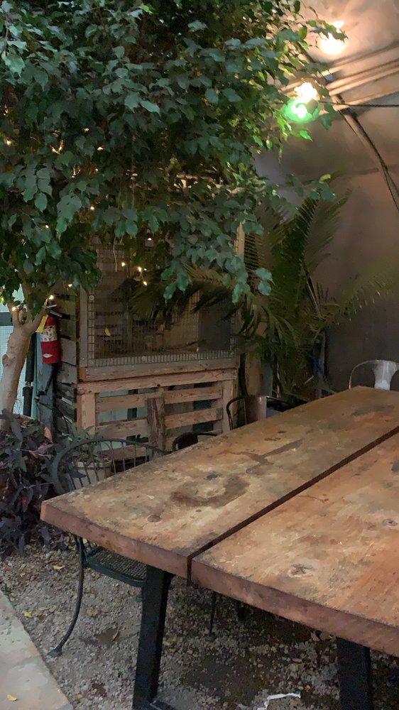 THE GREENHOUSE BAR - 92 Photos & 154 Reviews - Lounges - 2211 Bandywood ...