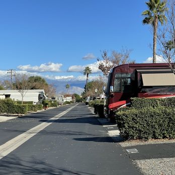 GOLDEN VILLAGE PALMS RV RESORT - Updated August 2024 - 143 Photos & 77 ...