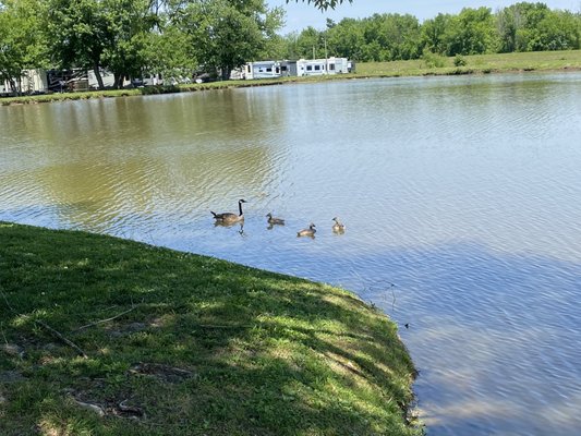 CHEROKEE LAKES CAMPGROUND - Updated December 2025 - 11 Photos - 3950 ...