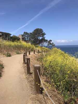 COAST WALK TRAIL - 39 Photos - Hiking - Coast Walk Trl, San Diego, CA ...