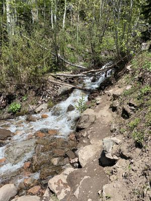 BOOTH LAKE TRAIL - Updated May 2025 - 32 Photos & 11 Reviews - 3099 ...
