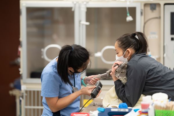 BOUNDARY BAY VETERINARY SPECIALTY HOSPITAL - Updated January 2026 - 54 ...