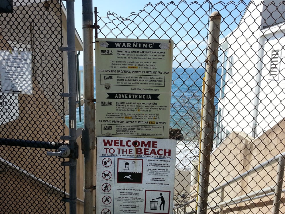 BIG ROCK BEACH - Updated September 2025 - 15 Photos - 20000 Pacific ...