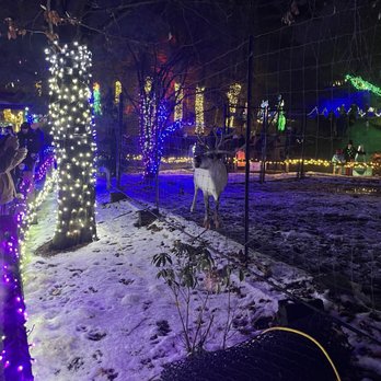 STONE ZOO - Updated September 2025 - 239 Photos & 213 Reviews - 149 ...