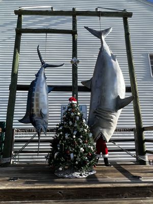 JIMMY GUANA’S - Updated December 2025 - 249 Photos & 269 Reviews - 401 ...