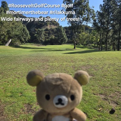 ROOSEVELT GOLF COURSE - Updated January 2026 - 105 Photos & 86 Reviews ...