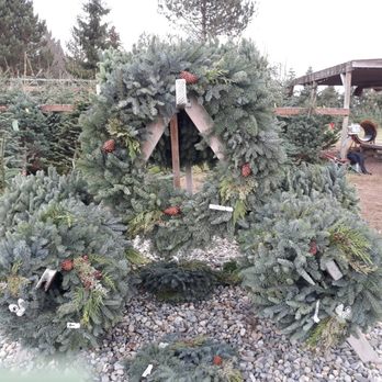 CARNATION TREE FARM - Updated January 2026 - 18 Photos & 38 Reviews ...