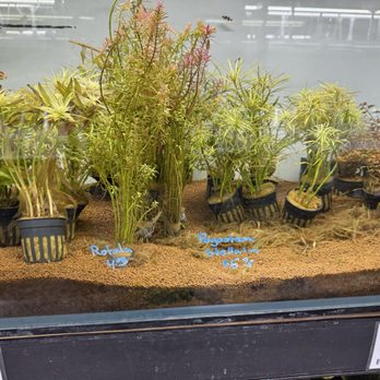 CK FISH WORLD - Updated October 2025 - 445 Photos & 479 Reviews - 541 ...