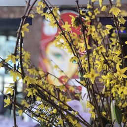 FRESCO DA FRANCO - Updated December 2025 - 779 Photos & 706 Reviews ...