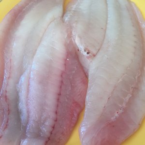 MARINA FISH - 44 Photos & 29 Reviews - Seafood Markets - 16211 E 14th ...