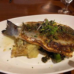 C&S SEAFOOD & OYSTER BAR - Updated January 2025 - 825 Photos & 637 ...