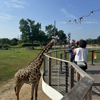 THE TOLEDO ZOO - Updated November 2025 - 326 Reviews & 1005 Photos - 2 ...