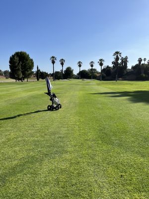 BREA CREEK GOLF COURSE - Updated August 2024 - 89 Photos & 226 Reviews ...
