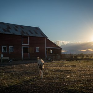 FEATHERED PIPE RANCH - Request Information - 91 Photos & 10 Reviews ...