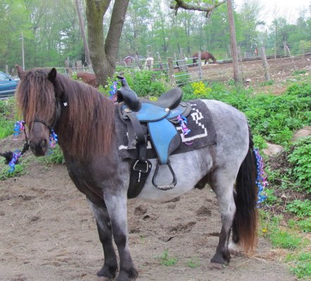 GOLD RUSH FARMS - 30 Photos & 11 Reviews - 5 Silver Hill Rd, Easton ...