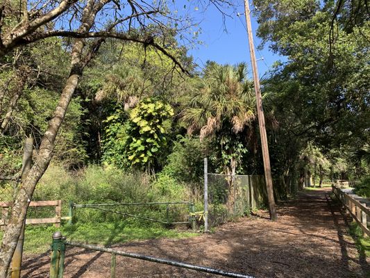 LONG KEY NATURAL AREA & NATURE CENTER - Updated October 2025 - 298 ...