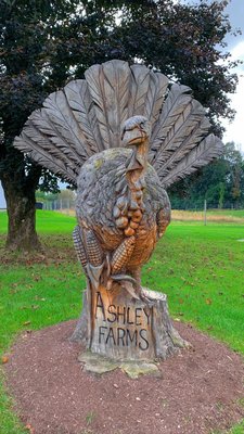 ASHLEY FARMS - Updated July 2025 - 48 Photos & 27 Reviews - 25 Hillside ...