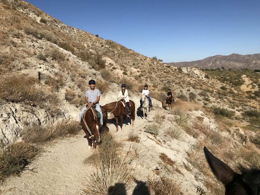 CRAZY HORSE RANCH - 108 Photos & 68 Reviews - 50440 Cheyenne Trl ...