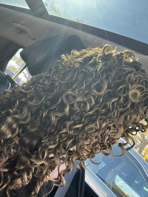 CURL EVOLUTION - Updated July 2025 - 101 Photos & 142 Reviews - 233 E ...