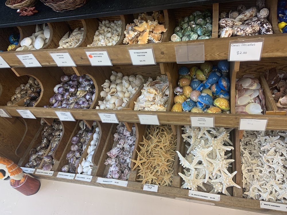 Kelly's Shell Shack, Naples | Roadtrippers