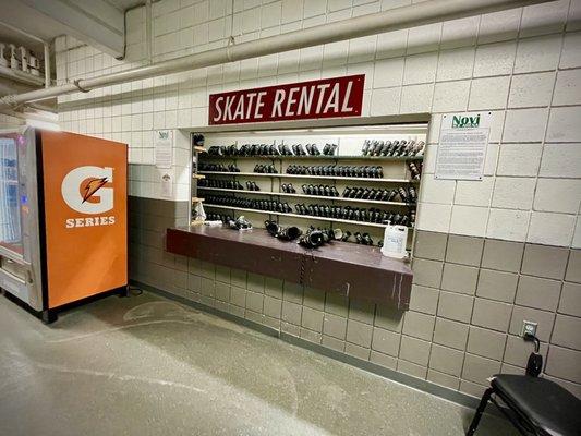 NOVI ICE ARENA - Updated October 2025 - 19 Photos & 16 Reviews - 42400 ...