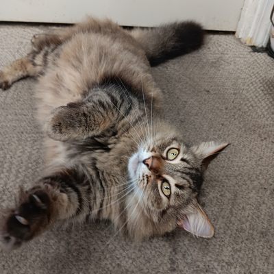 SWEET PUFF SMOKE SHOPPE AND VAPES - Updated October 2025 - 37 Photos ...