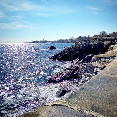 GREAT ISLAND COMMON - 38 Photos & 15 Reviews - New Castle, NH - Yelp