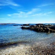 GREAT ISLAND COMMON - 38 Photos & 15 Reviews - Parks - New Castle, NH ...