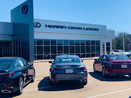 HERRIN GEAR LEXUS - Updated December 2025 - 17 Photos & 30 Reviews ...