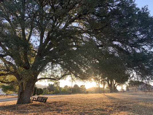 SANTA MARGARITA RANCH - Updated October 2024 - 39 Photos & 20 Reviews ...