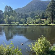 COFFEE ON THE ROCKS - 198 Photos & 260 Reviews - 510 Moraine Ave, Estes ...