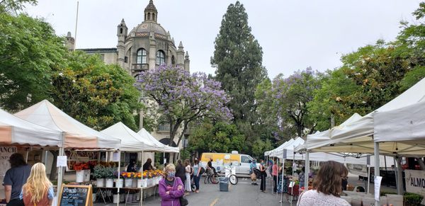 DOWNTOWN FARMER’S MARKET - Updated June 2024 - 102 Photos & 73 Reviews ...