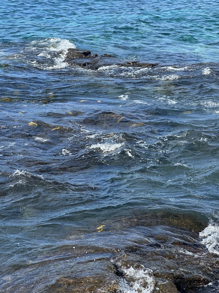 TWO STEP BEACH - Updated December 2025 - 84-5571 Honaunau Beach Rd ...