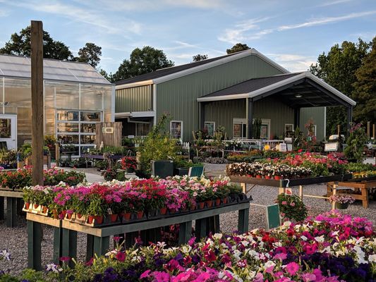 BOULEVARD FLOWER GARDENS - 147 Photos & 36 Reviews - 2120 Ruffin Mill ...