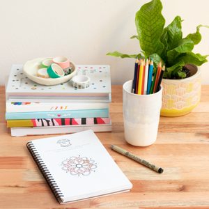 OLYMPIC COLOR RODS - Updated December 2025 - 17 Photos - 1050 W ...