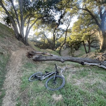 CYCLERY USA - Updated December 2025 - 53 Photos & 127 Reviews - 415 A ...