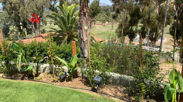 BRIGGS NURSERY & TREE - Updated September 2024 - 112 Photos & 101 ...