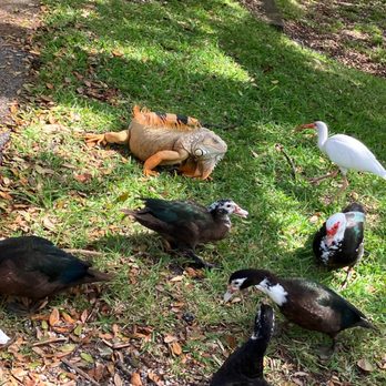 SPRINGTREE REHABILITATION & HEALTH CARE CENTER - Updated September 2025 ...