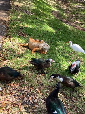 SPRINGTREE REHABILITATION & HEALTH CARE CENTER - Updated September 2025 ...