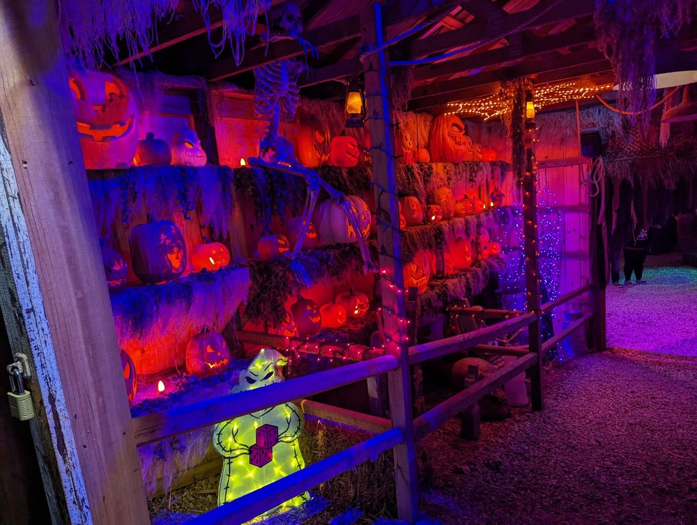 CREEPYWORLD - Updated November 2024 - 16 Reviews - 1400 S Old Hwy 141 ...