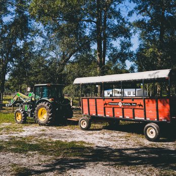 DIAMOND D RANCH - Updated December 2025 - 64 Photos & 22 Reviews - 5903 ...