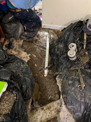 Peterman Brothers - Updated December 2025 - 62 Photos - 180 Reviews ...