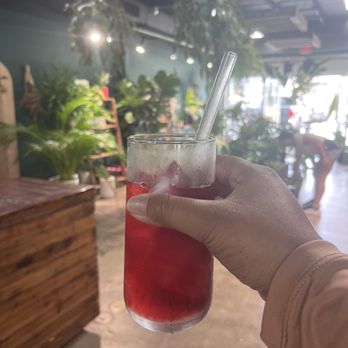 PLANTOEM - Updated October 2024 - 495 Photos & 105 Reviews - 3457 ...