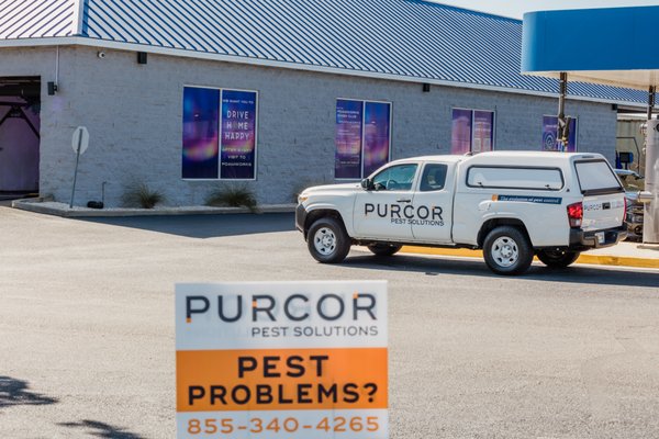 PURCOR PEST SOLUTIONS - Updated December 2025 - 28 Photos & 133 Reviews ...