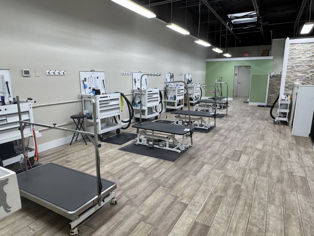 HAPPY PAWS GROOMING - Updated December 2025 - 20 Photos - 8278 Bee ...